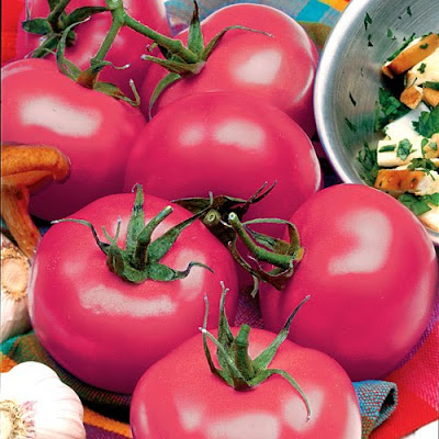 Life is good.: First seed purchases made!