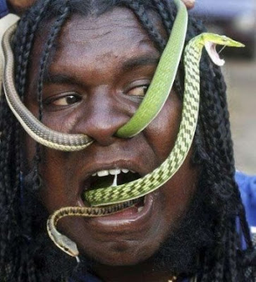 Insane Pics: Snake Dude
