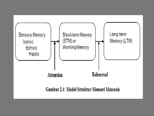 Memori Manusia Dalam Interaksinya - catatanku