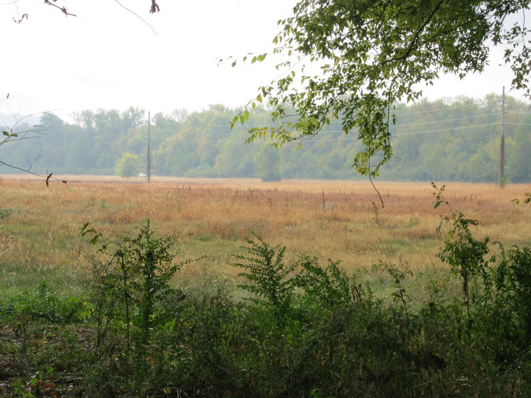 Fayetteville Tennessee polluting the Elk River: Fayetteville Sludge ...
