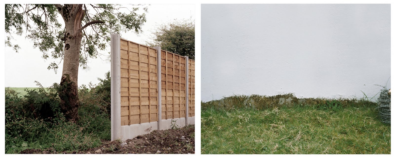 Milky Blacks: Irish Eyes: Martin Cregg