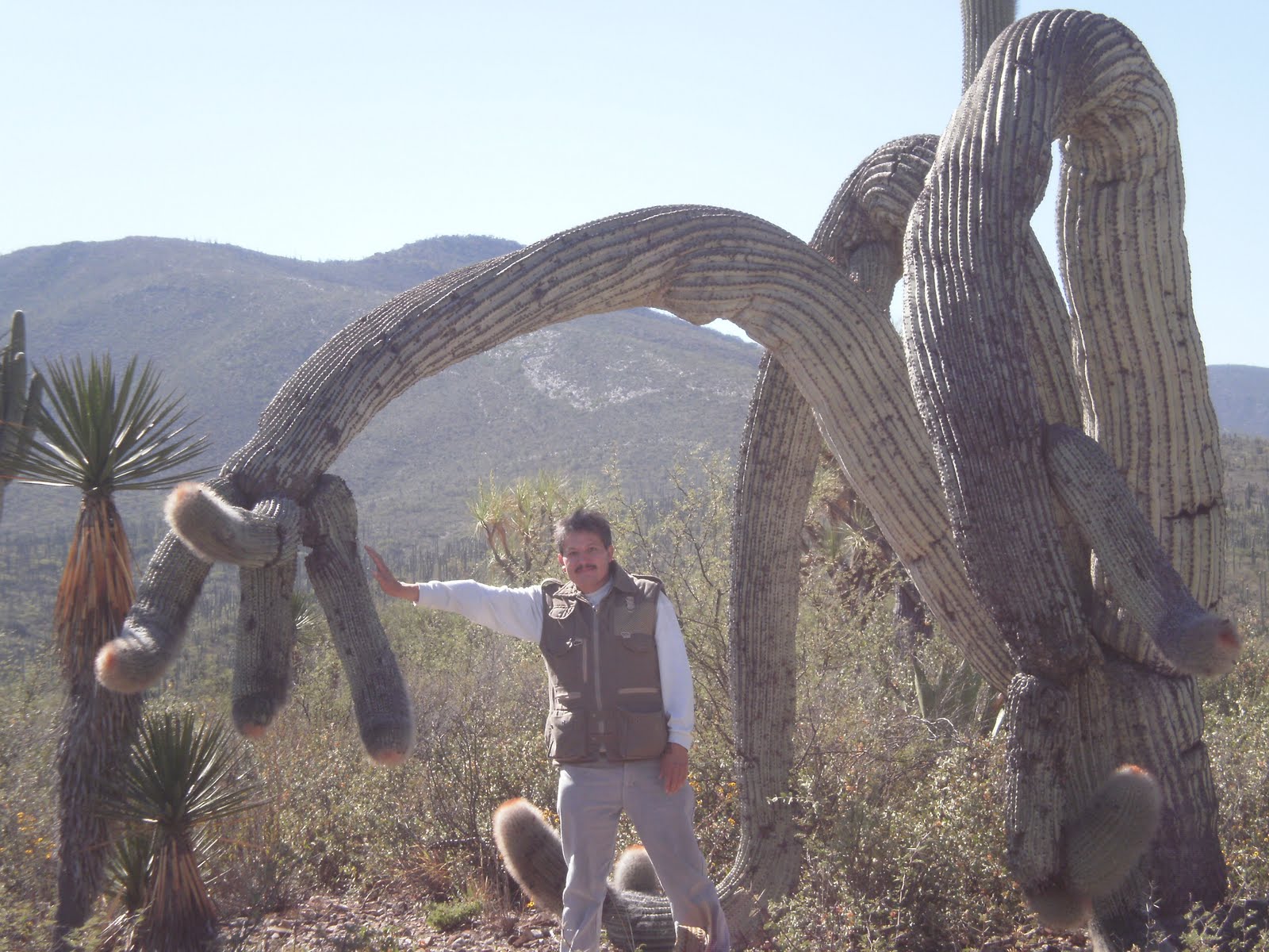 Remembranzas de un biólogo por la red