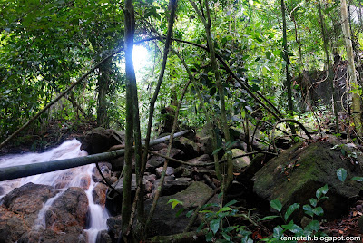 BENGish Talk: FRIM - Forest Research Institute of Malaysia, Kepong