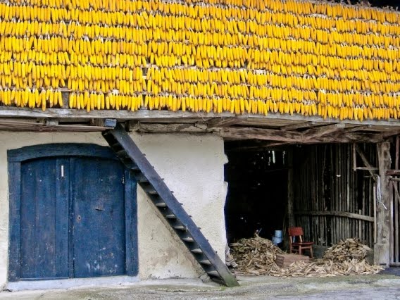 Busy-Dad-E: Fatherhood Uncensored: Corn House