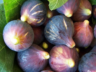 Tips Kuerpo Activo: Beneficios del Higo / Fig Benefits