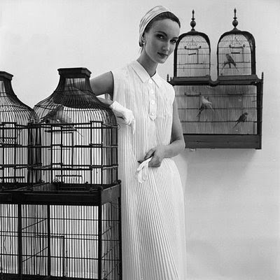 Maiden Luxe: Tom Palumbo