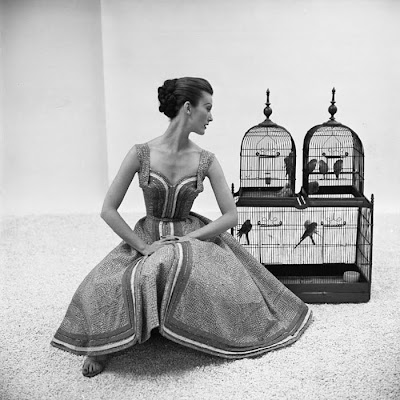 Maiden Luxe: Tom Palumbo