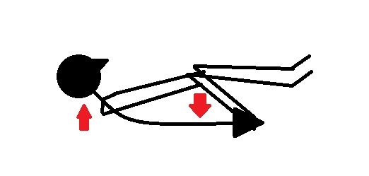 Fisio's Blog: WILLIAM FLEXION EXERCISE