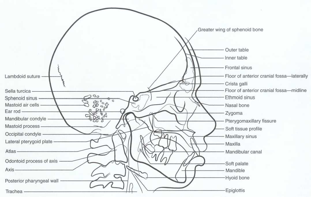 Panduan Analsis Sefalometri - Gigi Sehat Badan Sehat