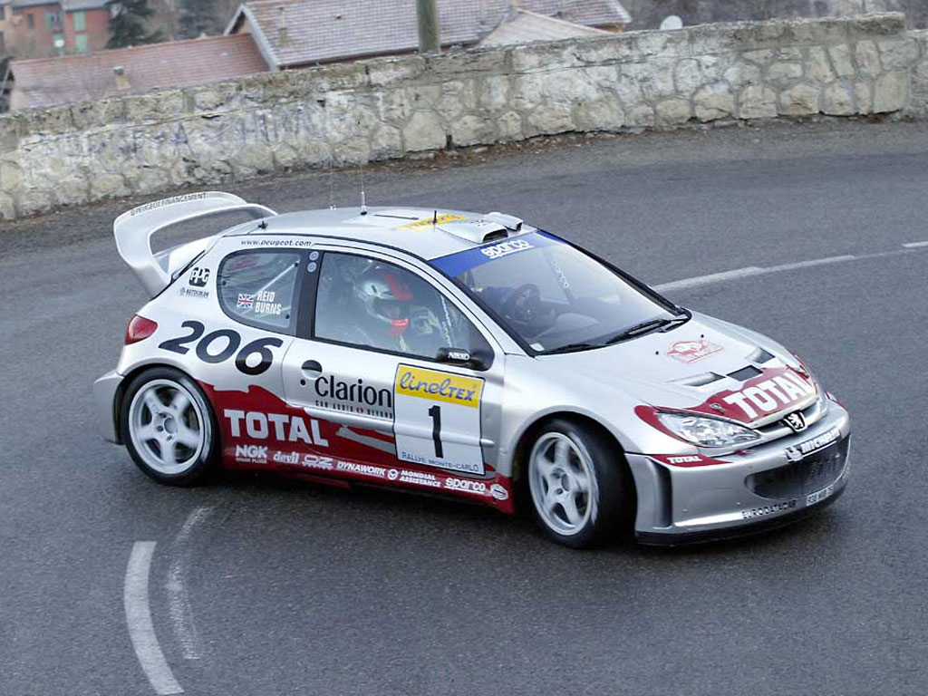 RALLYAZORES: PEUGEOT 205 T16 vs PEUGEOT 206 WRC