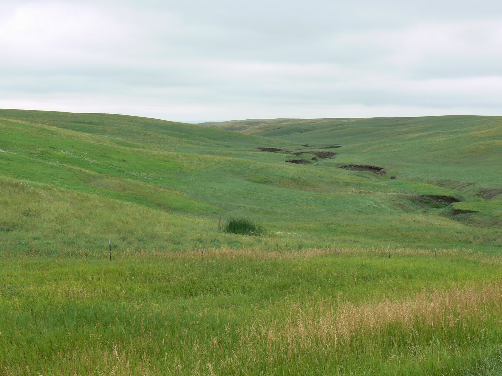 21st Century Odyssey: Fort Pierre National Grasslands.