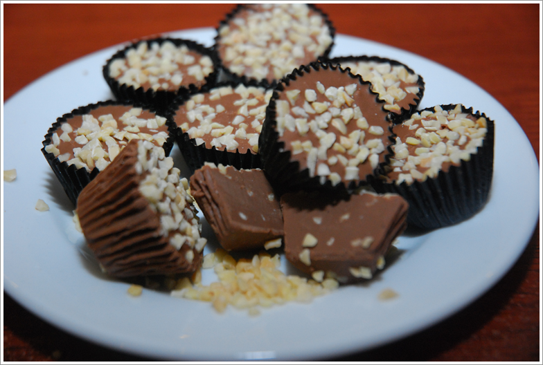 Coklat | Biskut Coklat | Coklat Homemade | Coklat Malaysia | Coklat Halal