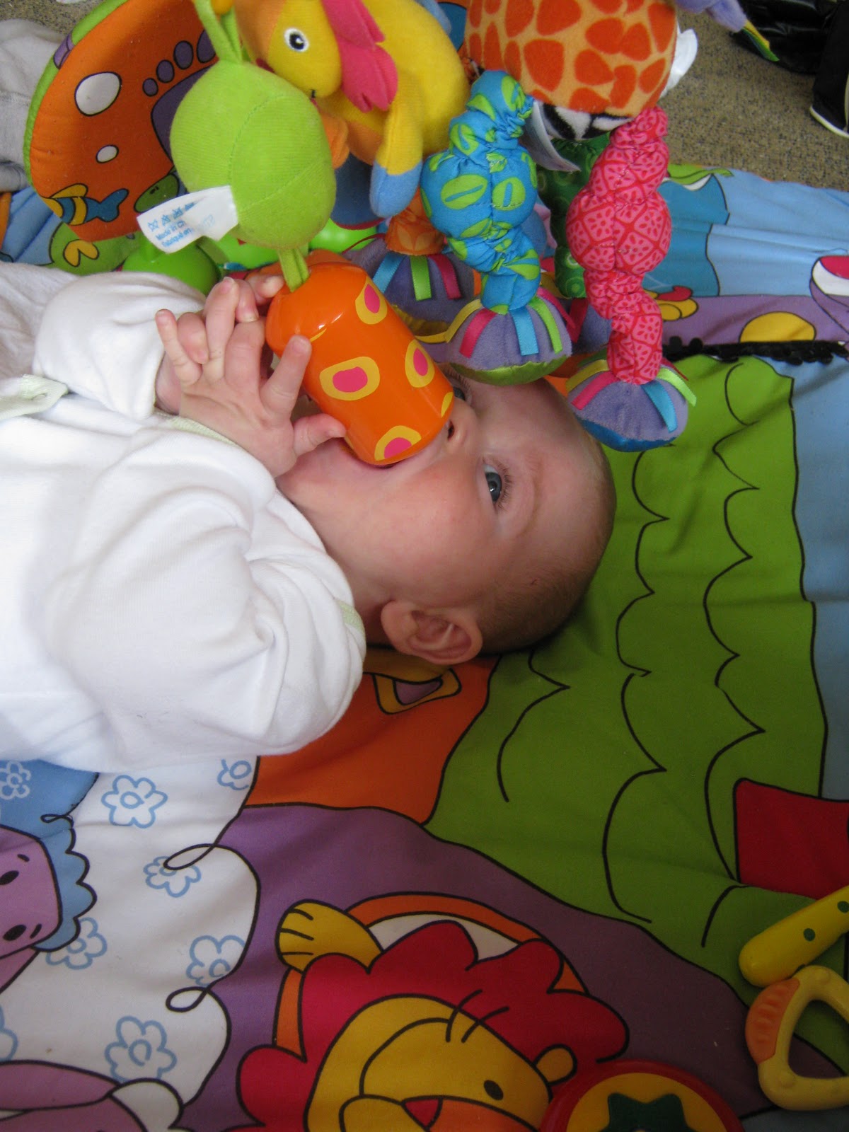 iDear: Reece monkey update