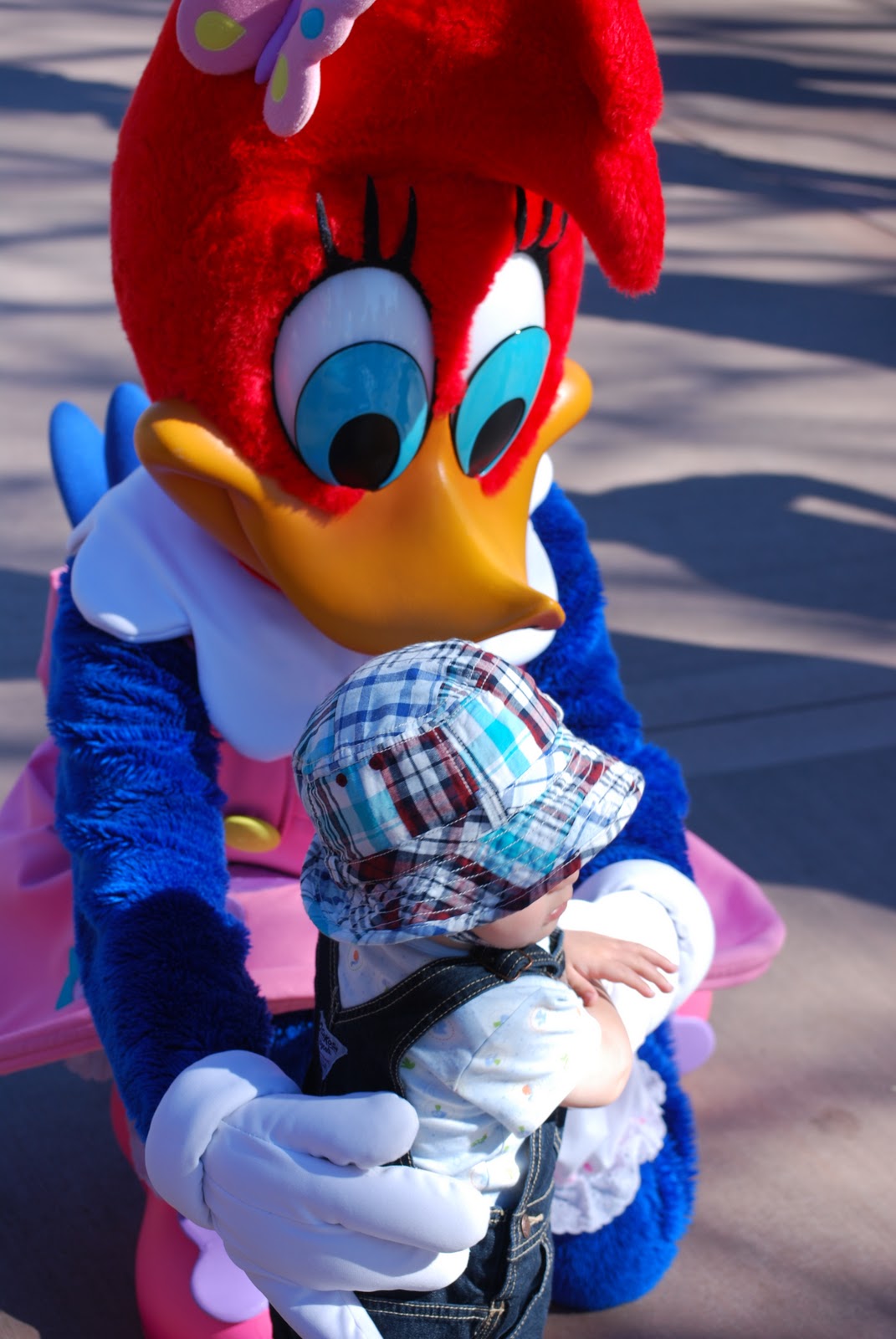 The Blake-Hames Family: Universal Studios Hollywood