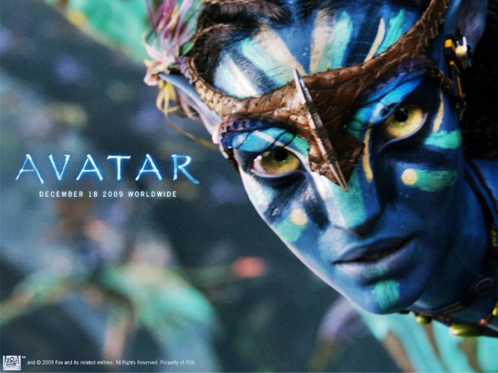 The Movie Diaries: Avatar Extended Collector's Edition Out on DVD and ...