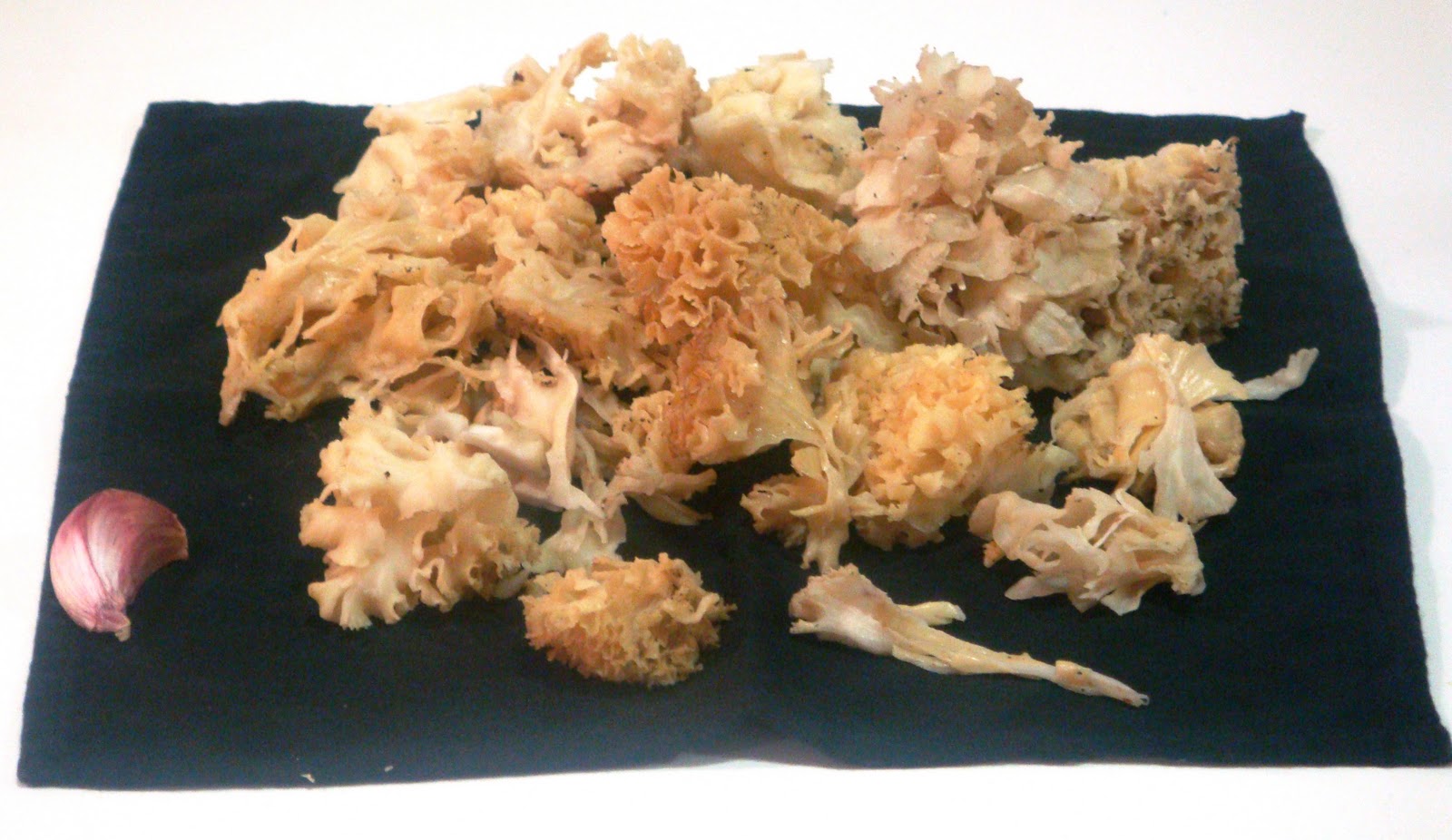 Gastromimix: ¿Greixa silvestre o cultivada?