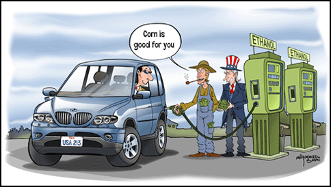 Bioethanol: Case Study in Brazil