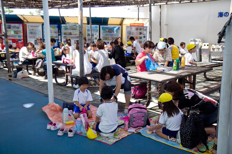 はくい幼稚園日日 - hakui youchien nichi nichi -: おやこバスりょこう。