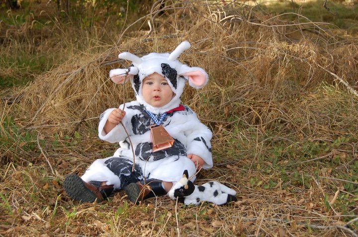 Girl in Air BLOG: Holy COW! Let's make a Halloween Costume!