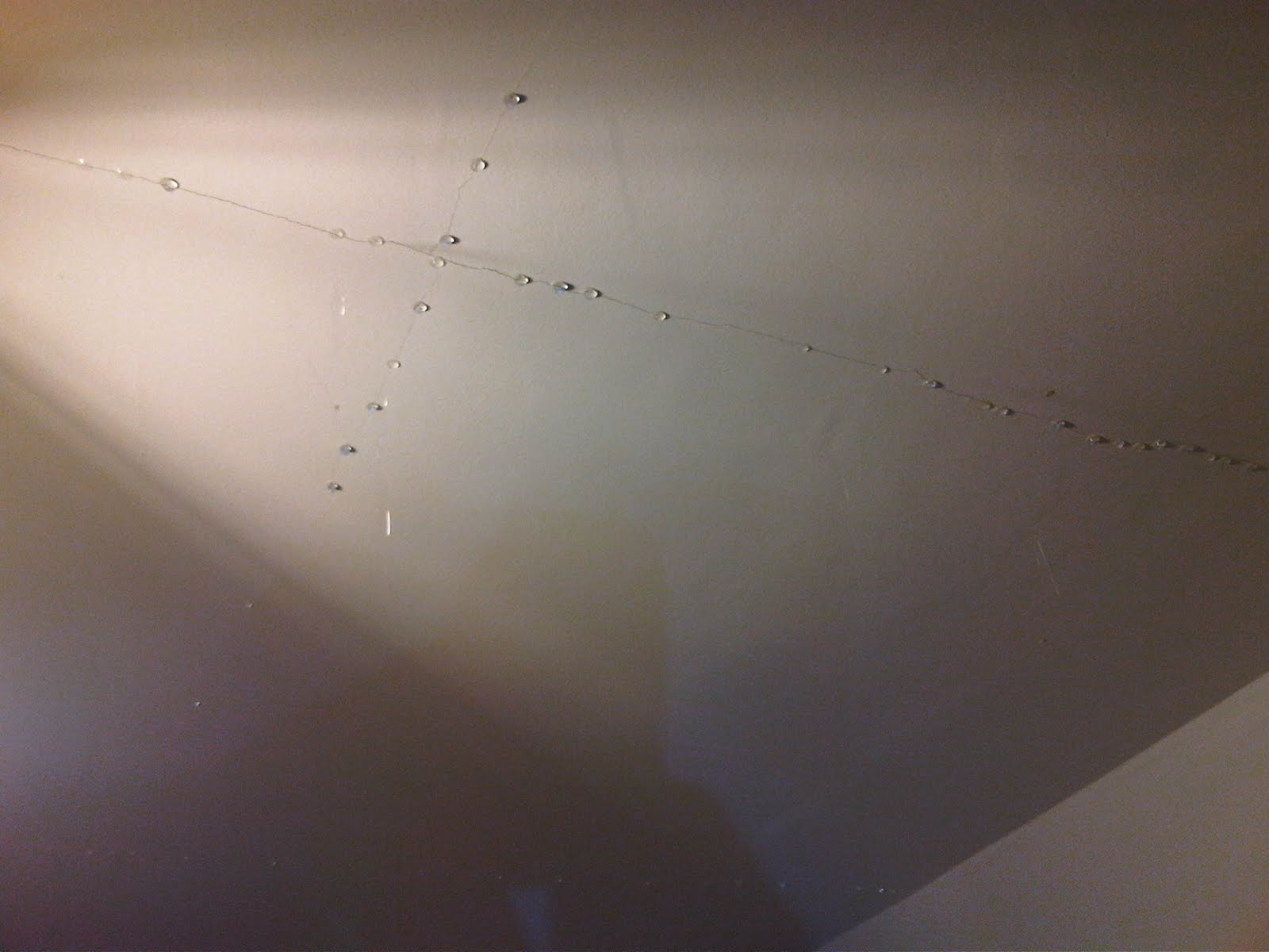Andy's Ark: Why are my ceilings raining?