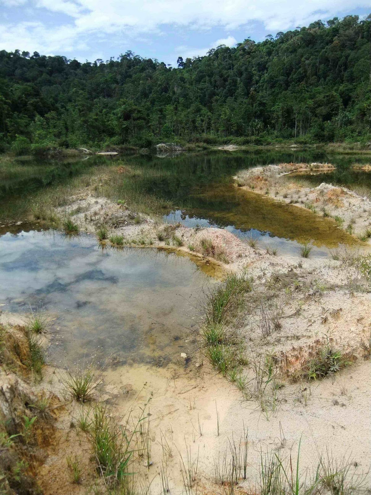 Dr. Mac's Blog: Sg. Tengkil Waterfalls Hike, Saturday 13 Nov. 2010