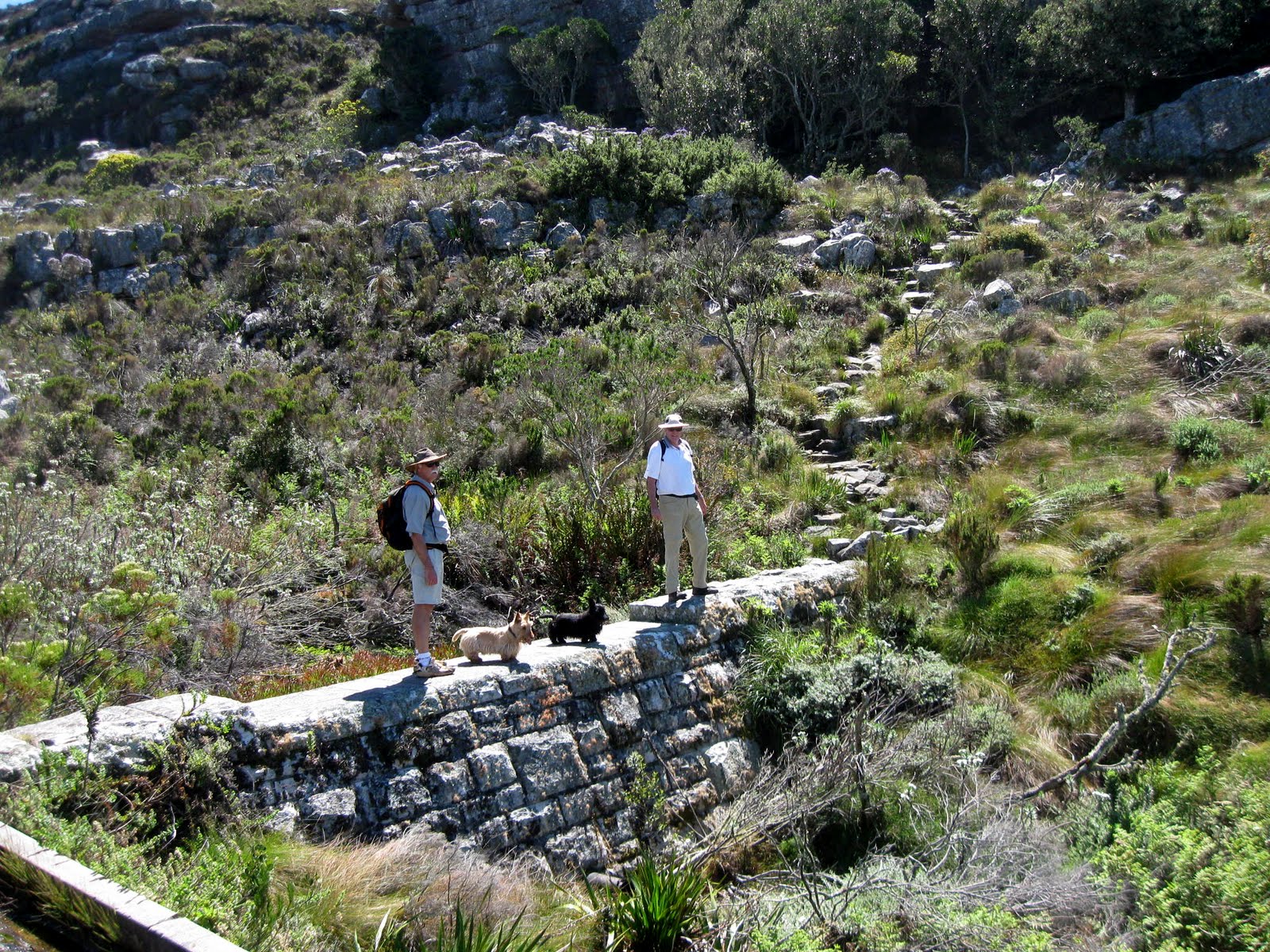 Walkies on Table Mountain: Ash Valley