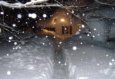 Fresh Pics: Heavy Snowfall in Mexico City