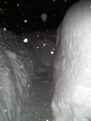 Fresh Pics: Heavy Snowfall in Mexico City