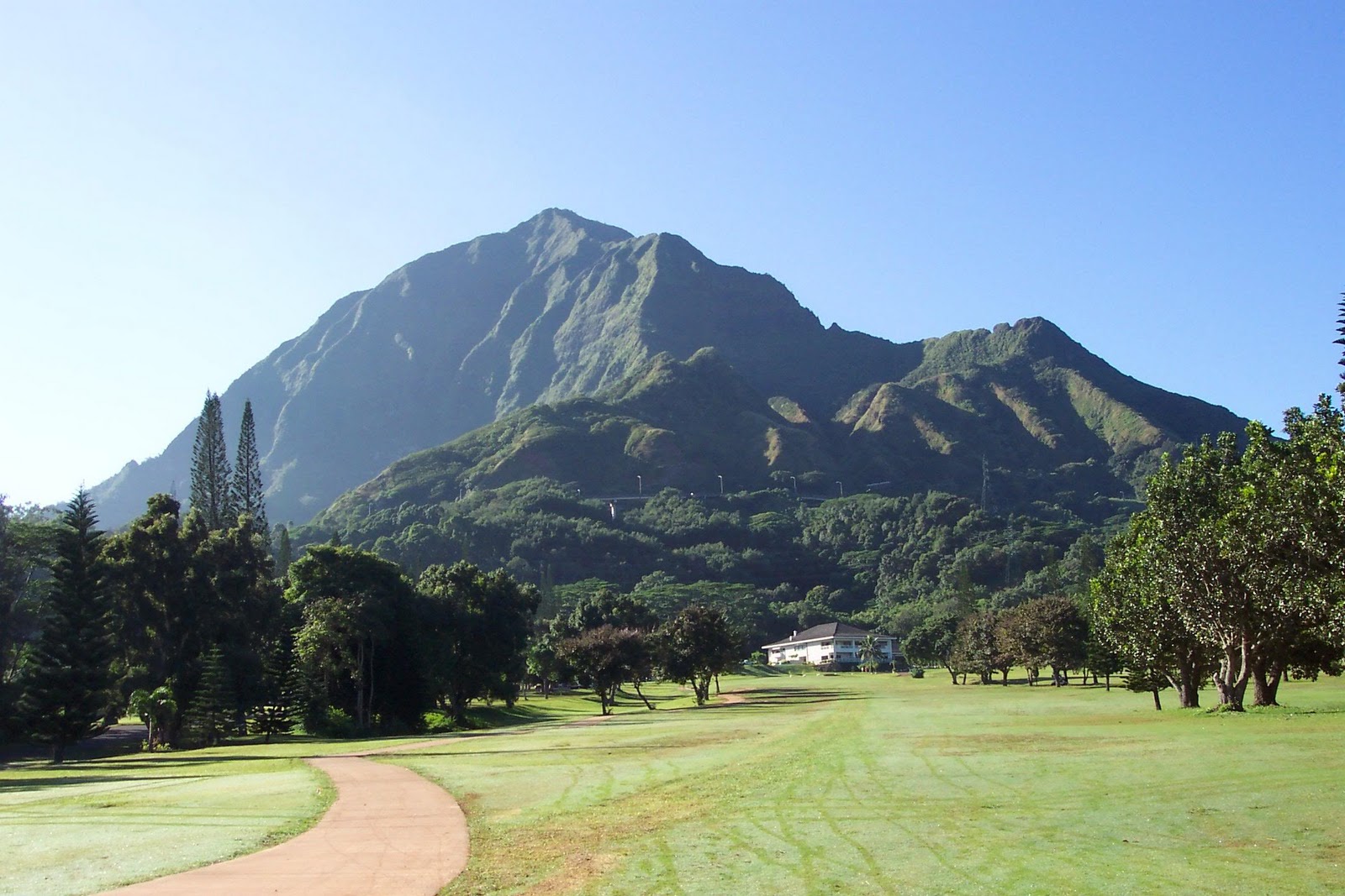 The Pineapple Project: Pali Golf Course