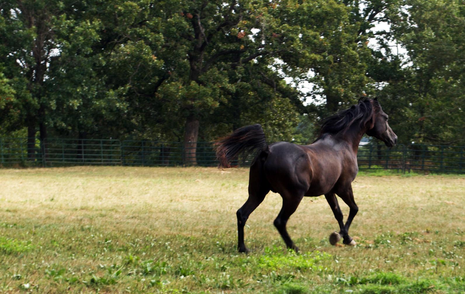 Sojourner: I am woman. See me ride.