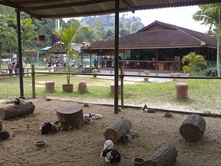 SKSBU at Bukit Tinggi ♥