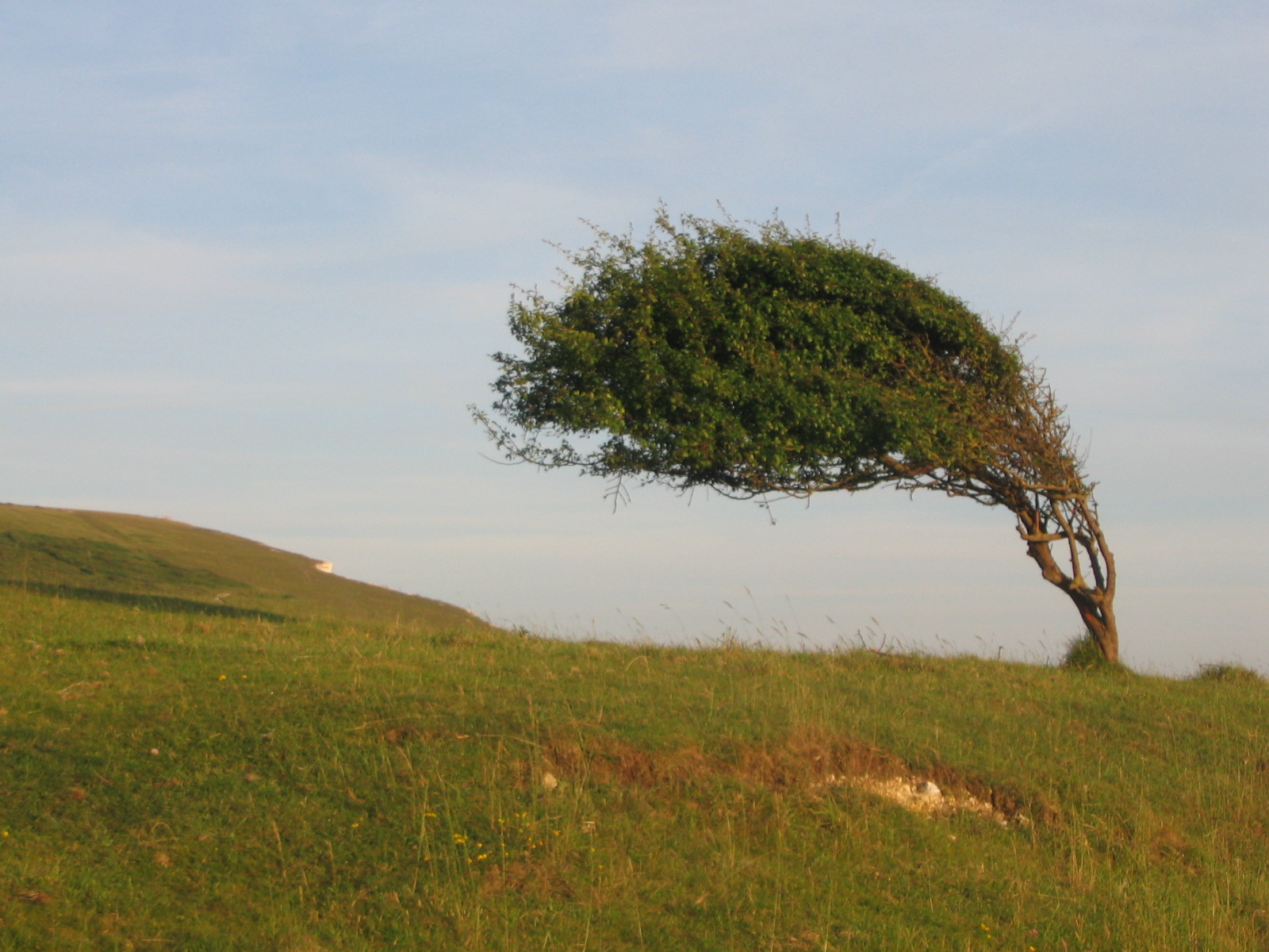 Running on Faith: Don't Fear the Wind