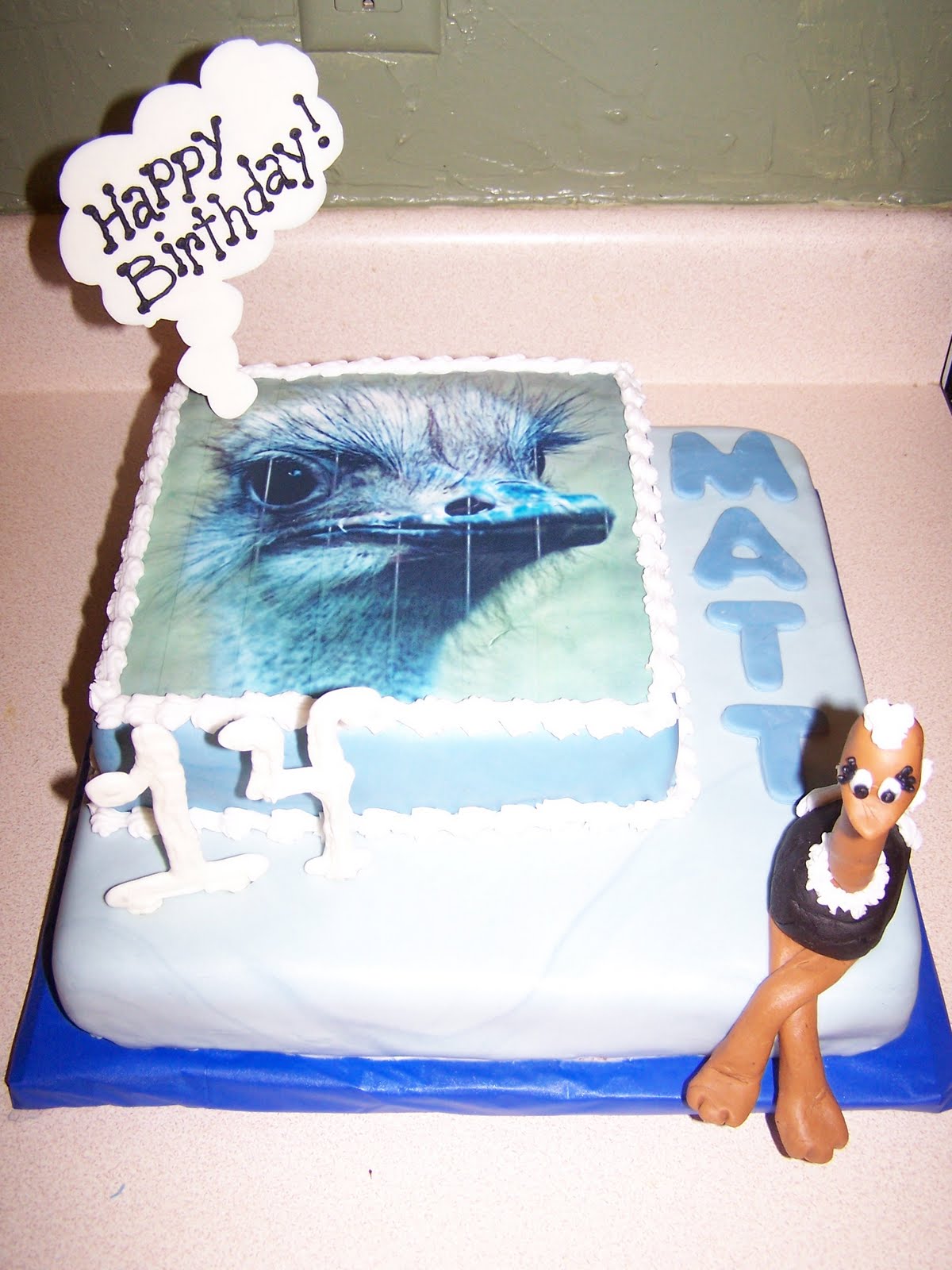 Julie Daly Cakes: Ostrich Cake