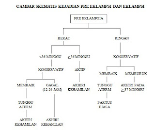 KHUSUS MAHASISWI KEBIDANAN: KONSEP DASAR PRE EKLAMSI