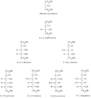 kem korner: Molecular Structures of the Aldoses and the Ketoses