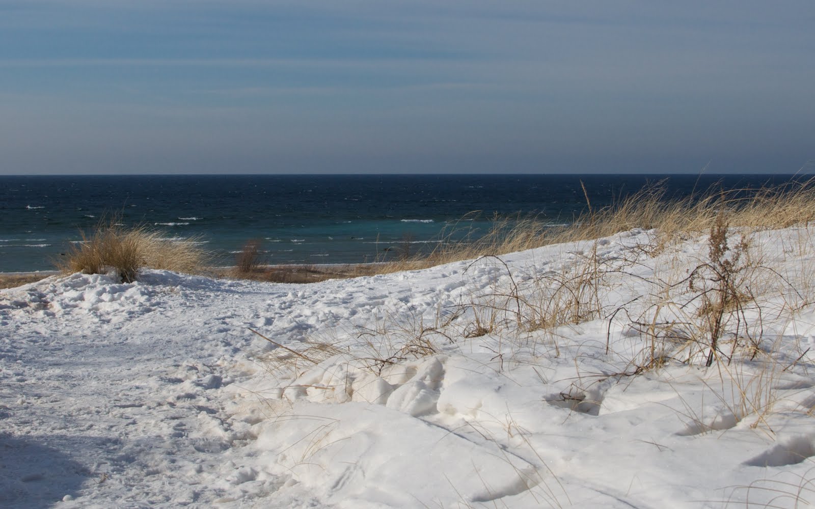 Daily Chicago Photo: Winter Beach