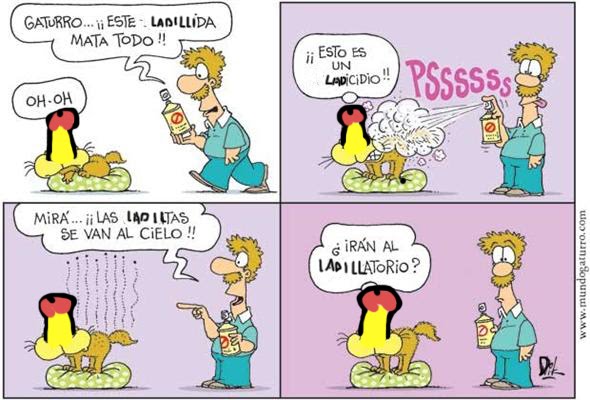 PIJURRO: TODOS LOS PETES VAN AL CIELO