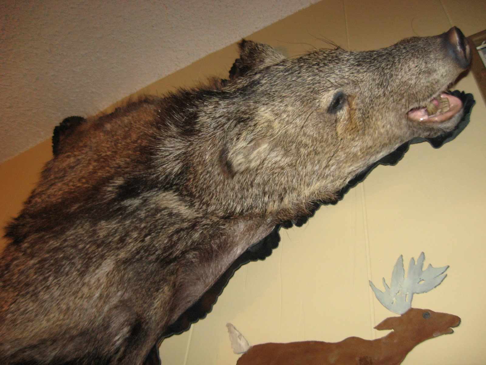 Arizona Hunting Blog