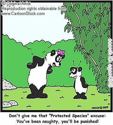 ***yick~yack~yakkity~yack***: The Panda Jokes!
