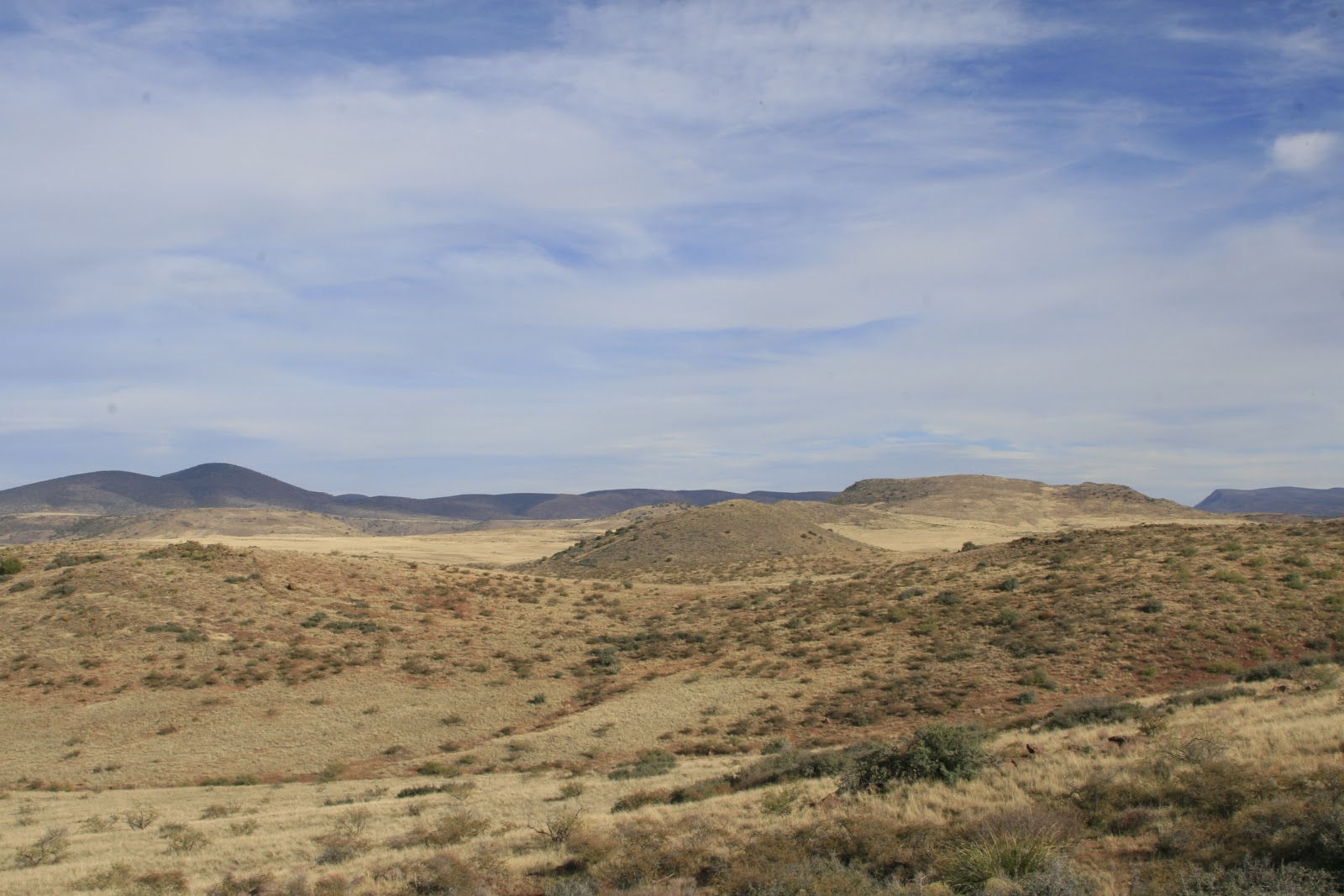 Darren's Rides: Dugas Arizona