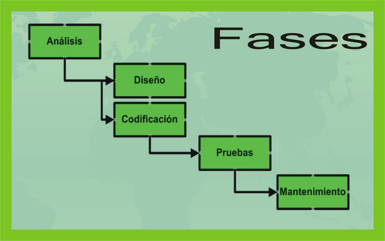Fases en el Proyecto