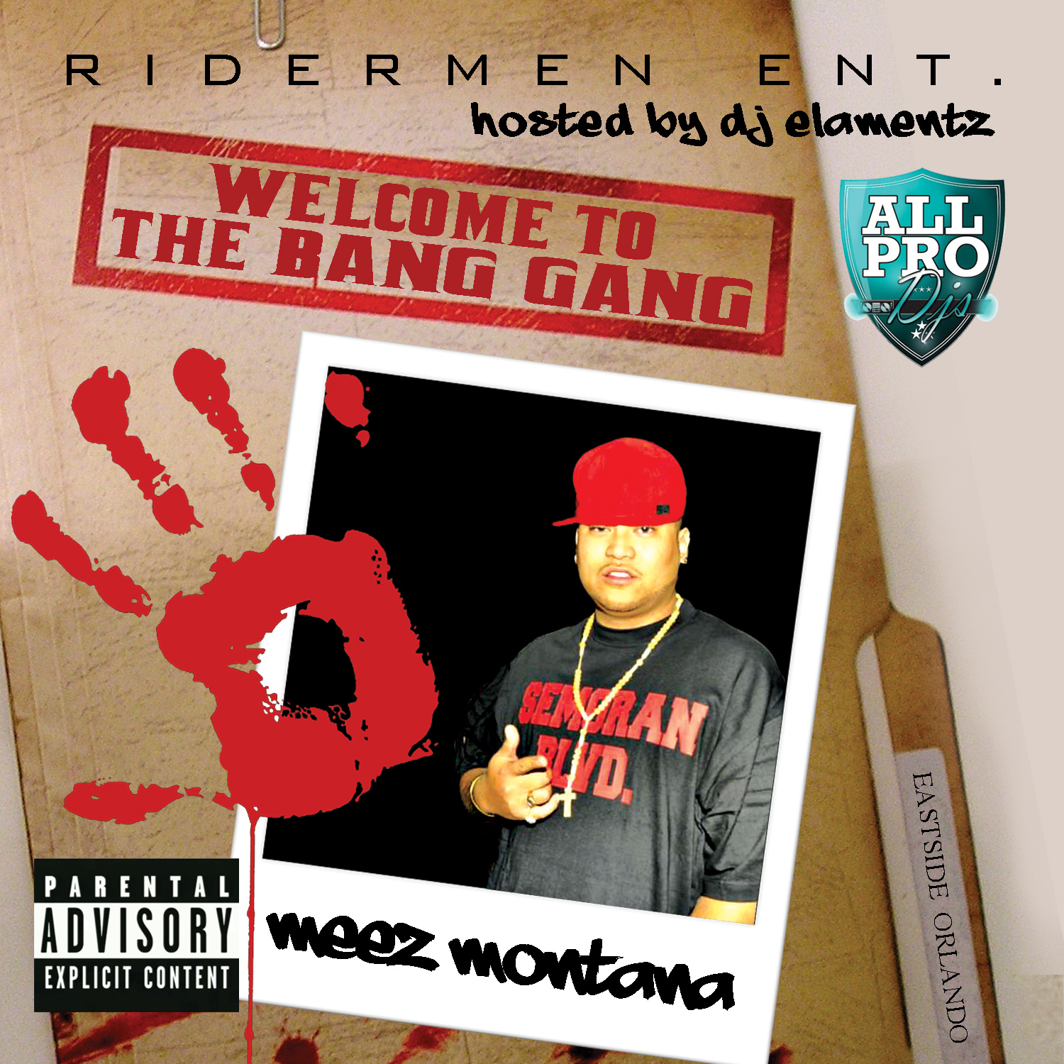 Mz Purrfection's Blog - The Purrfect Four Eleven