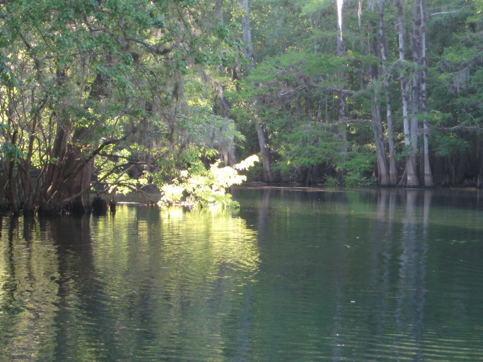 Bill and Laurie's Big Adventure: Manatee Springs State Park, Florida ...