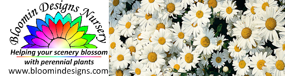 Bloomin Designs Nursery blog