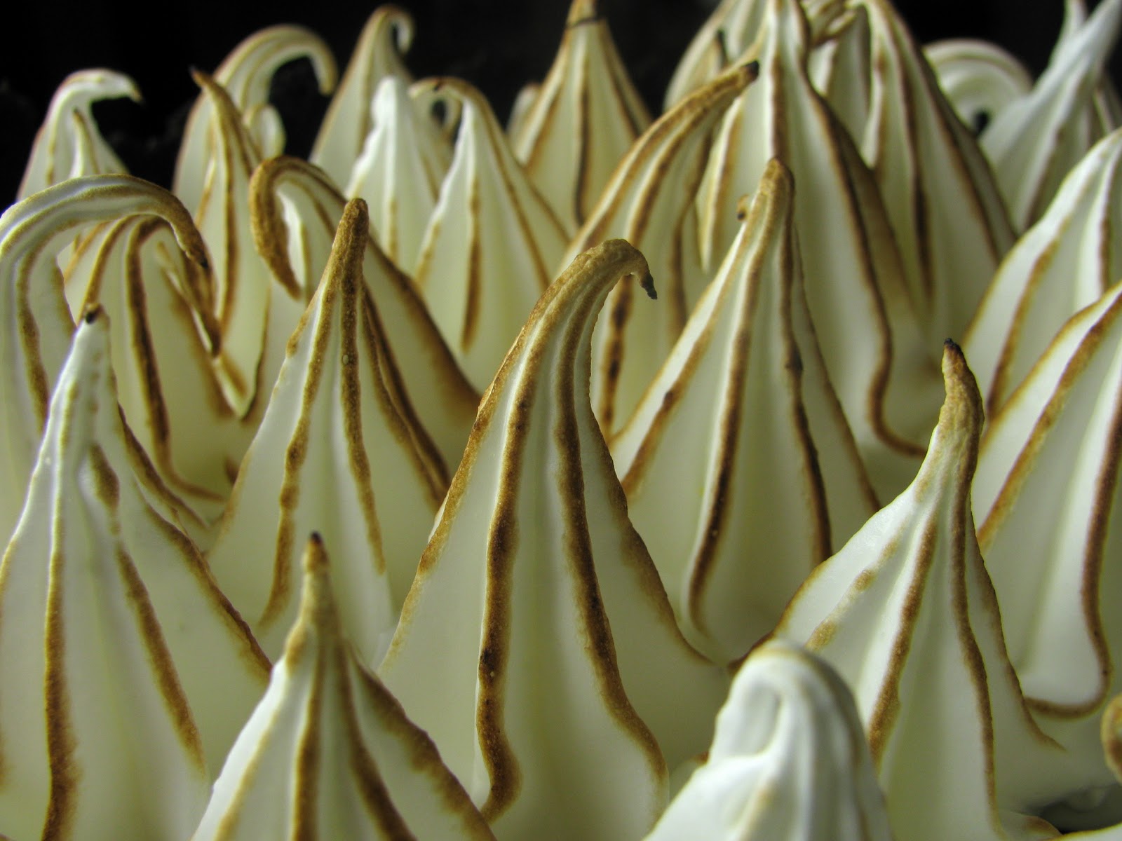 The Devil's Cream: An Ode to Bonnie Finn