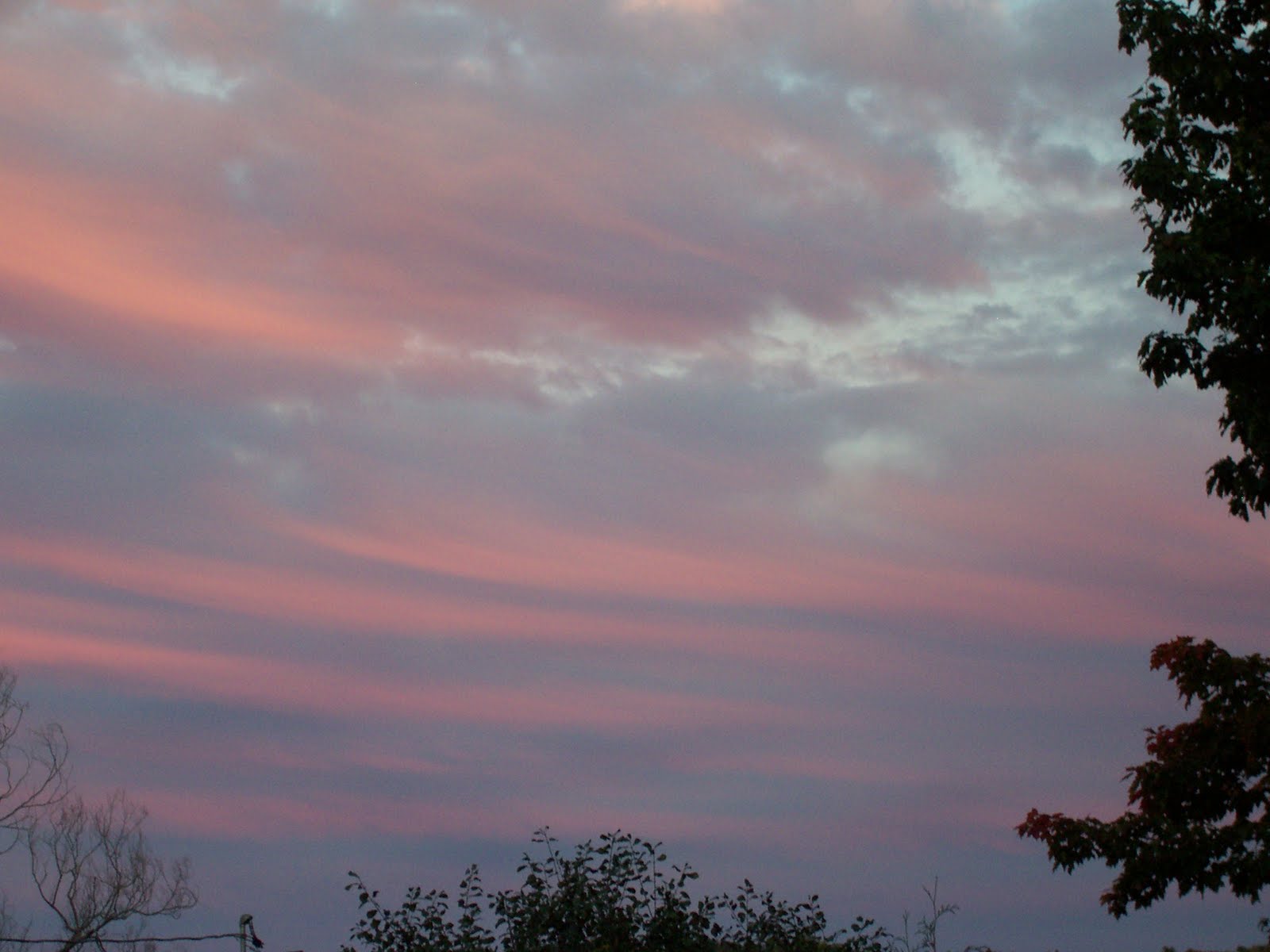The Mum and The Rose: Evening Fall Sky.