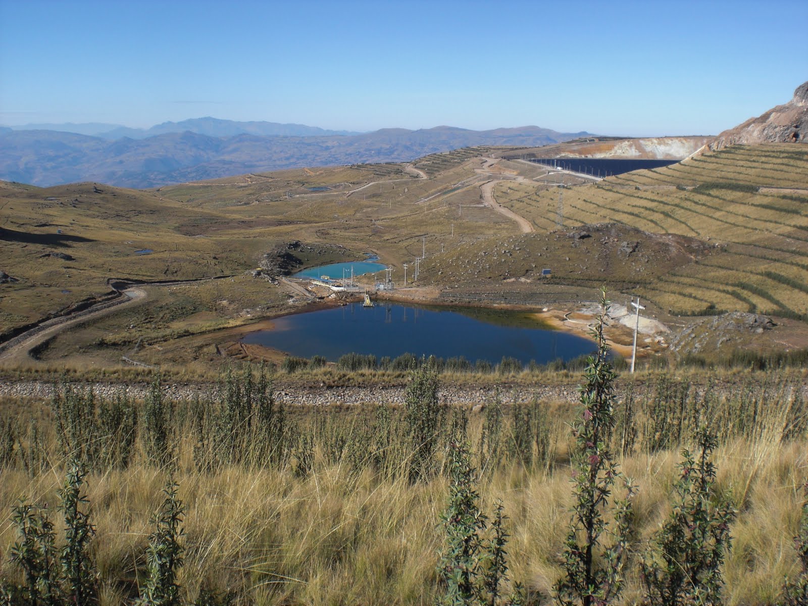 MEDIO AMBIENTE ARBAIZA: LA JALCA
