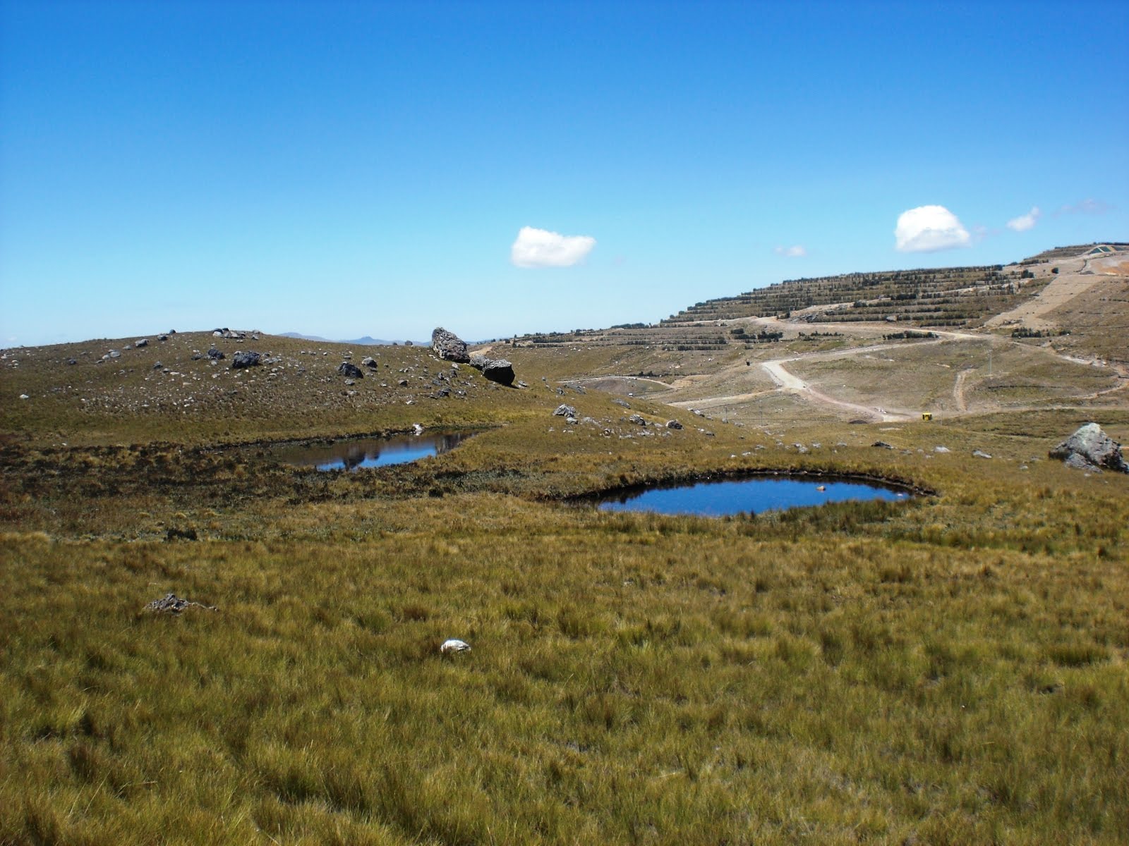 MEDIO AMBIENTE ARBAIZA: LA JALCA