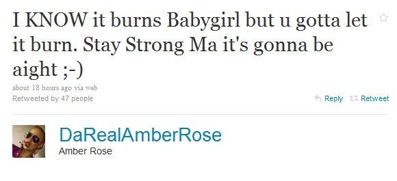 The Rabbit's Rabbit: Amber Rose taking aim at Kim Kardash??