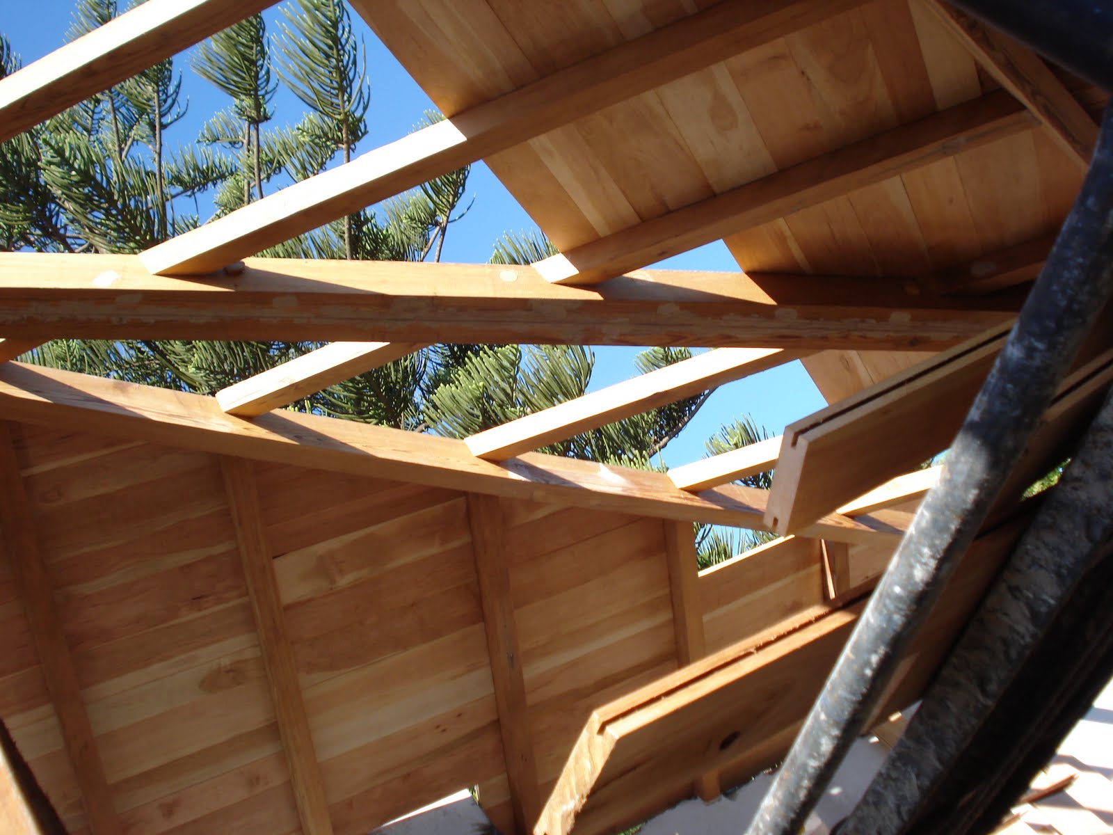 Martin Sanchez: Techo de pinotea y lenga